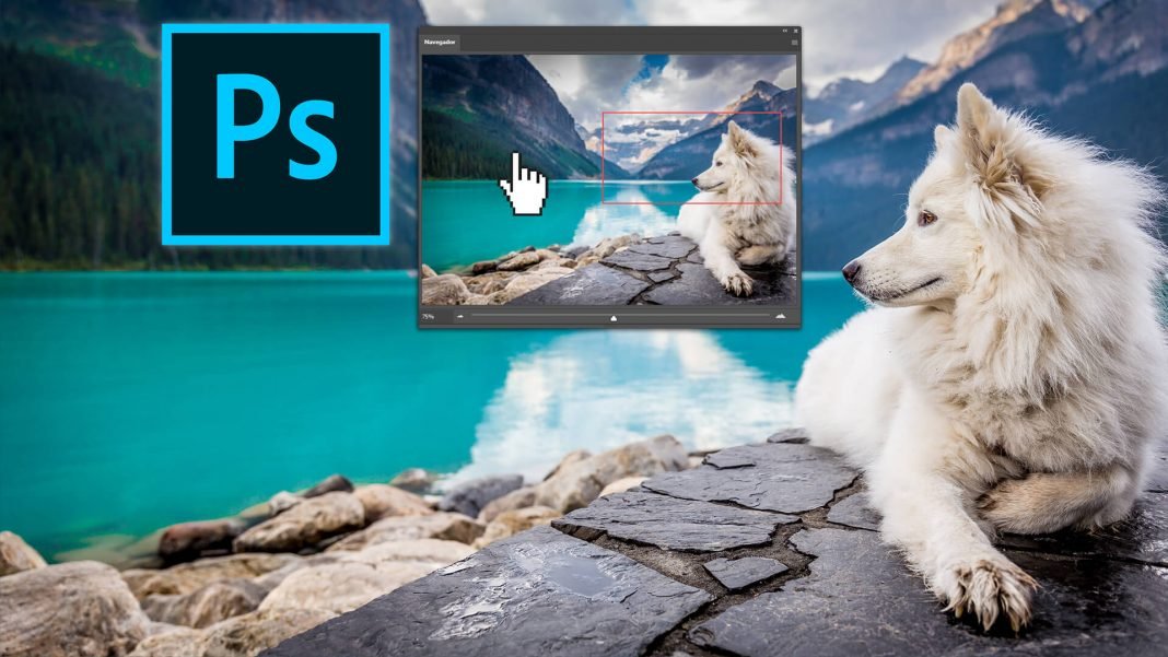 Navegador do Photoshop - Como usar o painel Navigator - Lucas Charnyai ...
